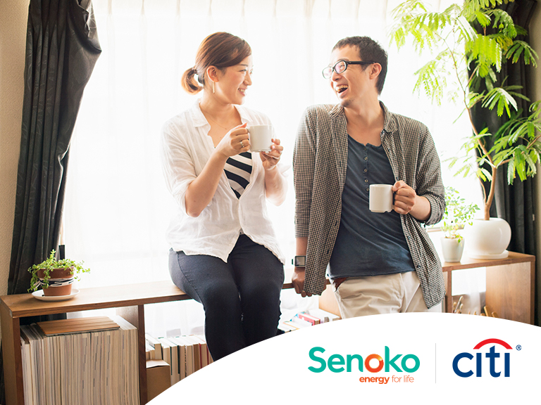 Senoko Energy Singapore | Electricity Retailer & Singaporean Energy ...