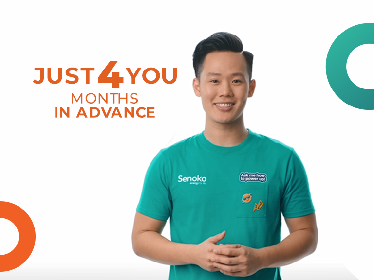 Senoko Energy Singapore | Electricity Retailer & Singaporean Energy ...