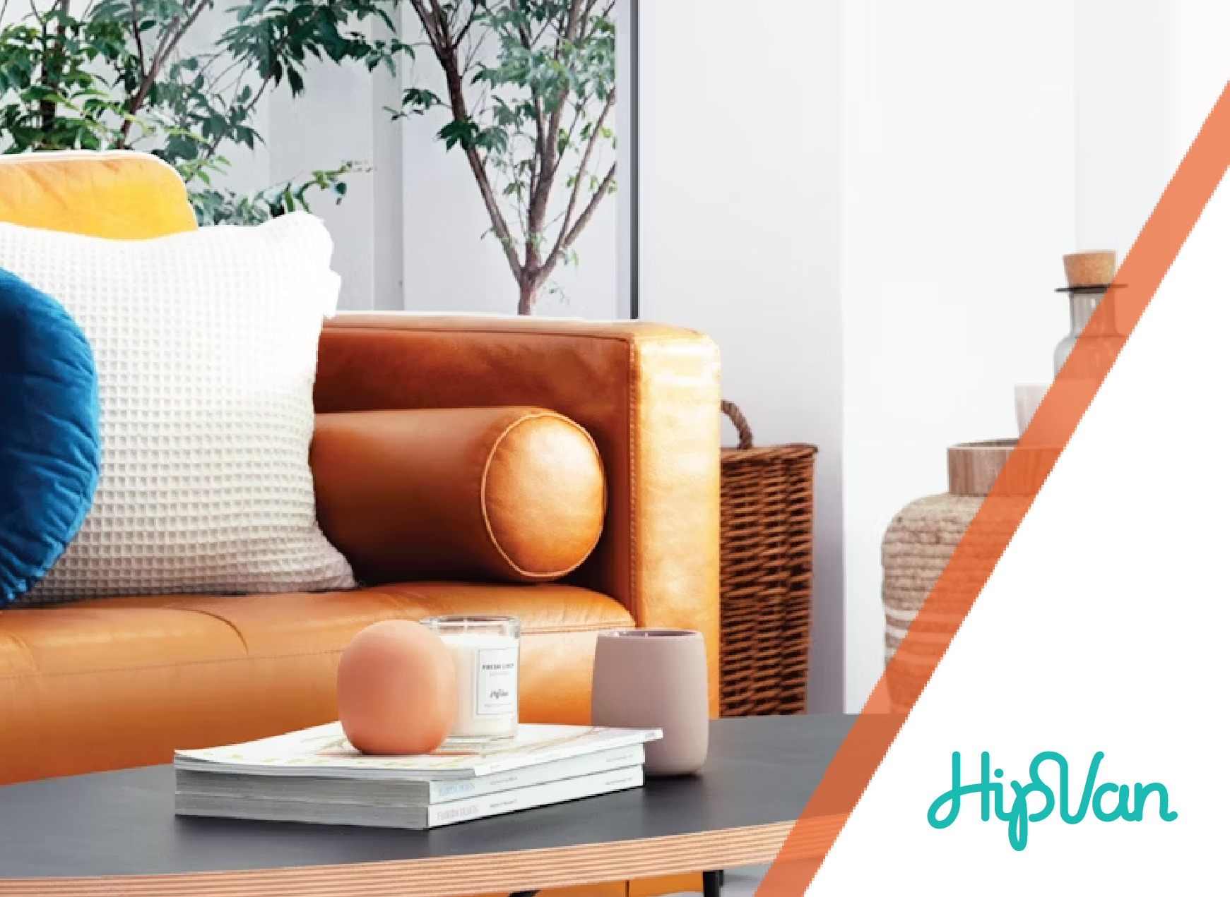 New Home, New Vibes - Senoko Energy