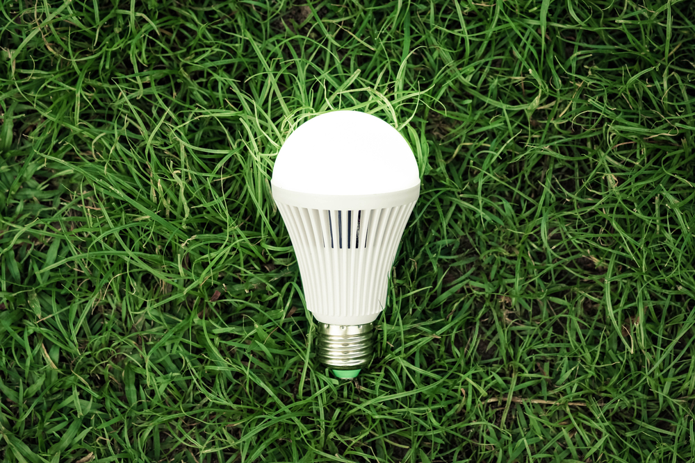 Best Energy Saving Light Bulbs | Senoko Energy - Senoko Energy